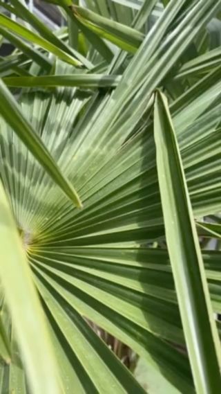 247 Bar – Le Twenty Four Seven à Tignes